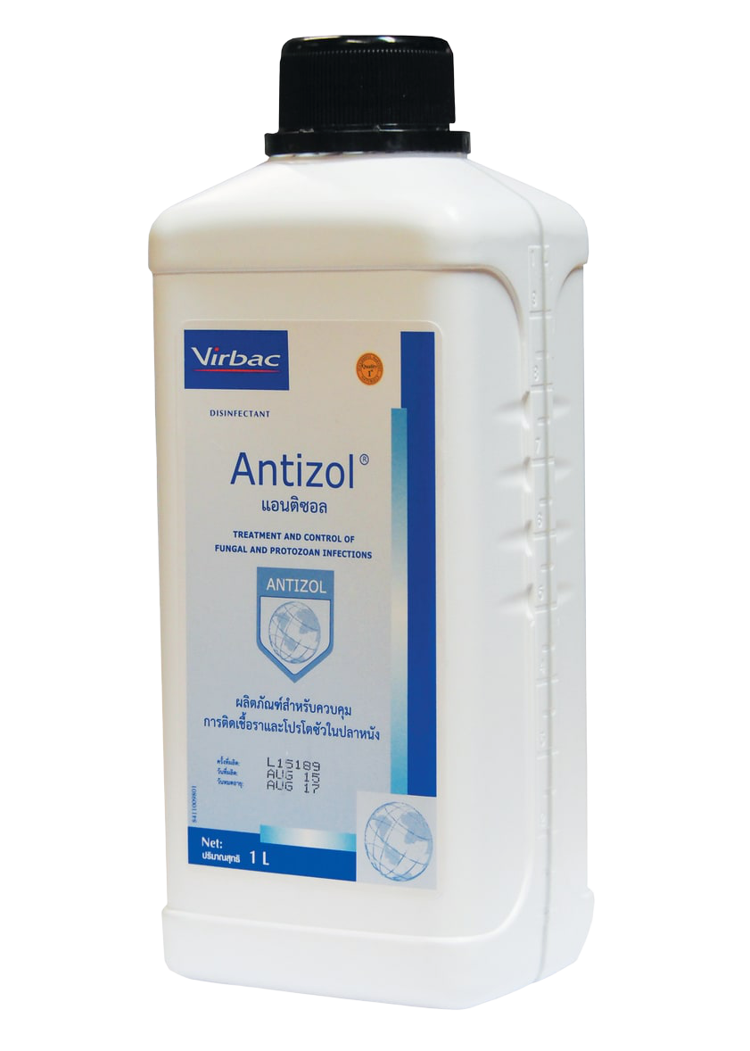 Antizol